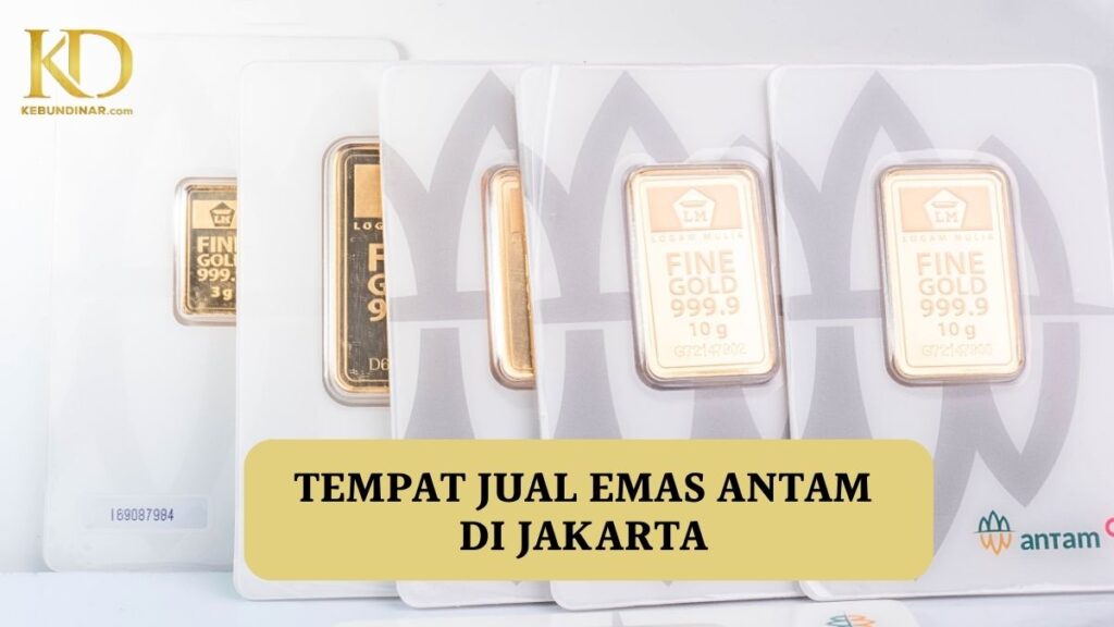 1 Suku Emas Berapa Gram? Begini Cara Menghitungnya! - KEBUNDINAR.com